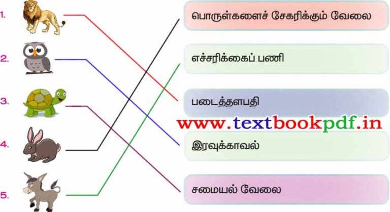 TN 3rd Standard Tamil Guide Term 1 | Lesson.3 தனித்திறமை