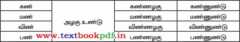 TN 7th Standard Tamil Guide Term 1 | Lesson 3.5 வழக்கு