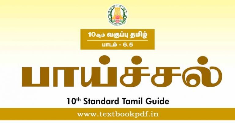 TN 10th Standard Tamil Guide | Lesson 6.5 பாய்ச்சல்